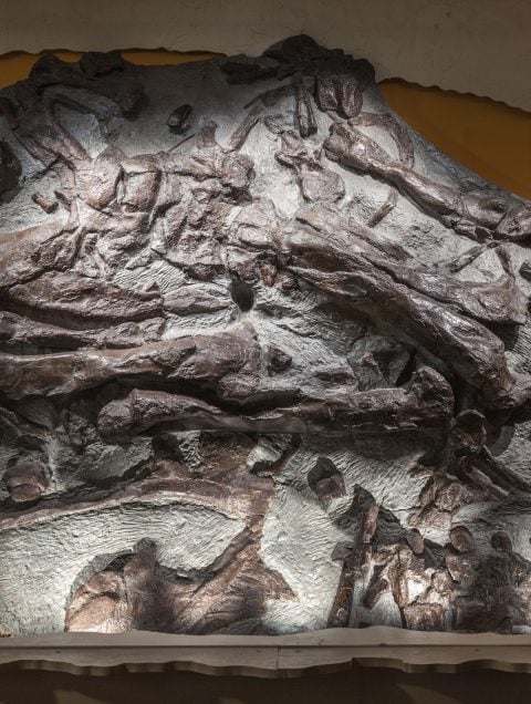 Shepherd’s Smock - 100 Objects That Made Kent